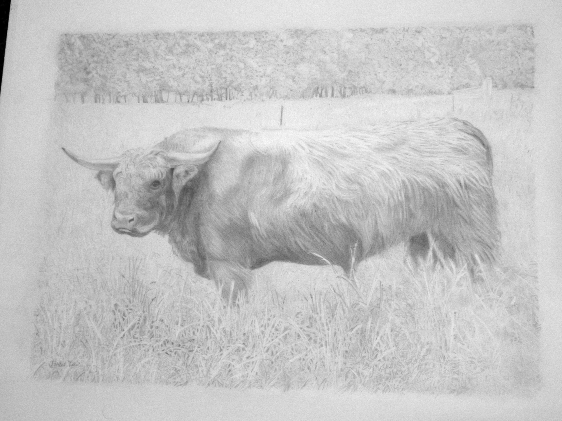 Develteam - Eric Johns (Developer)